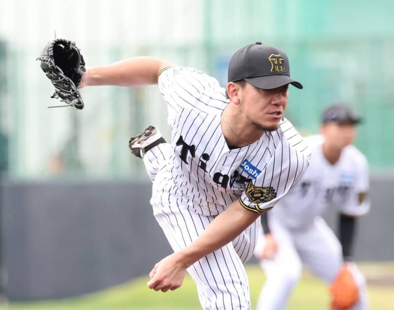【阪神】伊藤将司が初実戦登板で1安打無失点 〝那覇の悪夢〟払拭「去年よりいいですね」 | DoEntertainment
